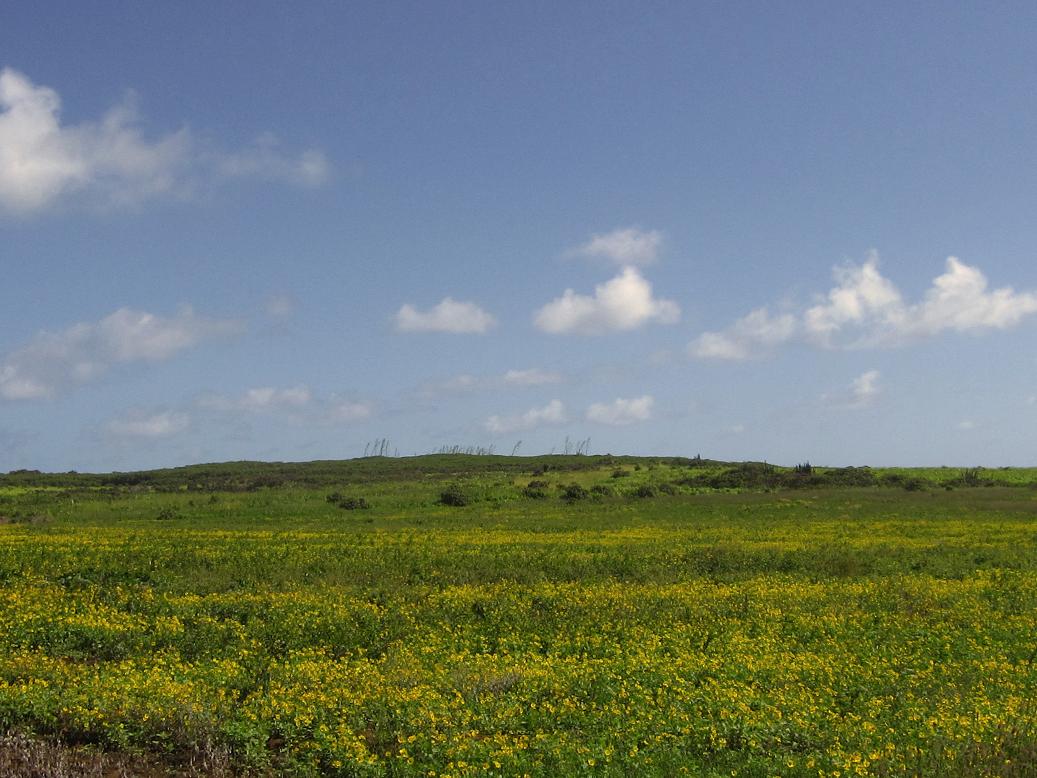 35mm to freedom: beautiful vast, open field