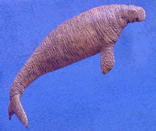 Amazing Extinct Animals | Randomness