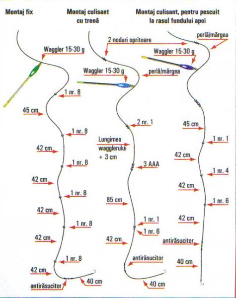 Pescuit Sportiv si Tehnici de Pescuit ~ Pescuit sportiv, pescuit amator