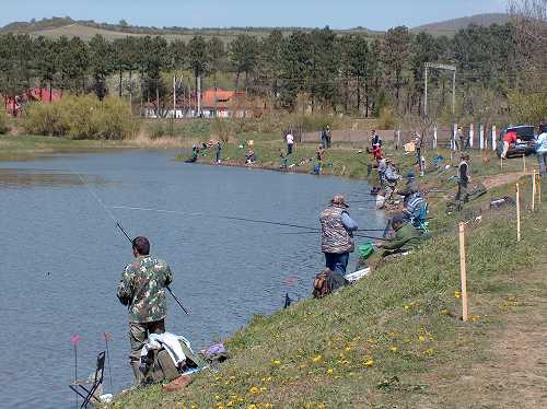 Pescuit Amator si Pescuitul stationar al pestilor mari ~ Pescuit ...
