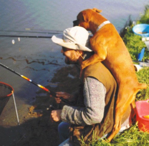 Pescuit Amator si tehnicile sale . ~ Pescuit sportiv, pescuit amator