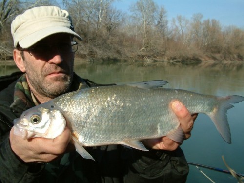 Pescuit Amator la Morunas . ~ Pescuit sportiv, pescuit amator