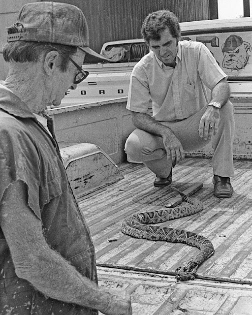 Bill Ricks of Soperton: 1985 BIG Rattlesnake