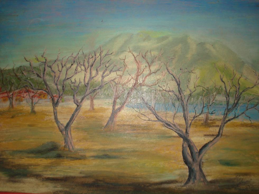 Hatİbo Gülseven Resimleri: İBRAHİM GÜLSEVEN