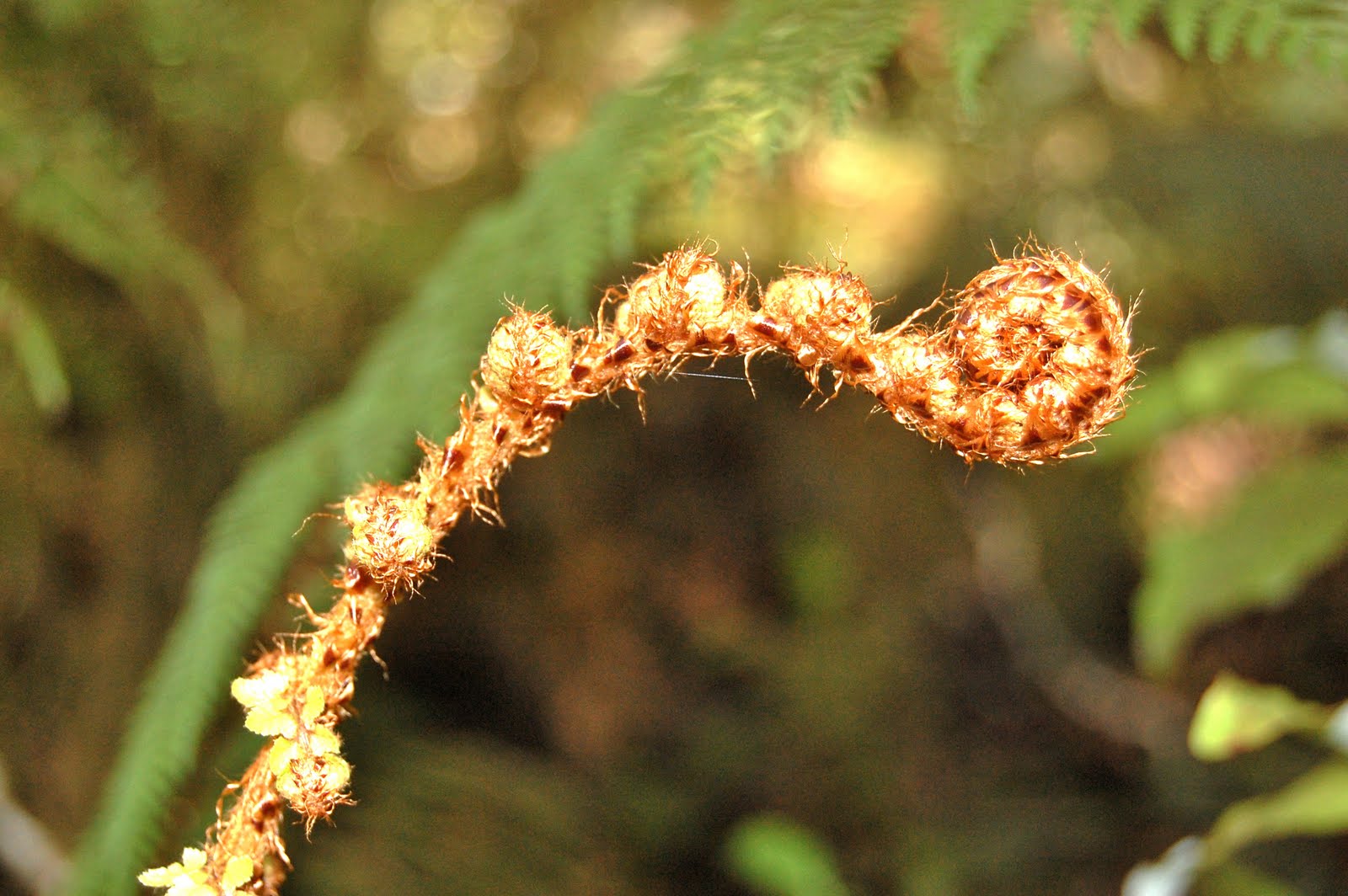 Experience The Connection