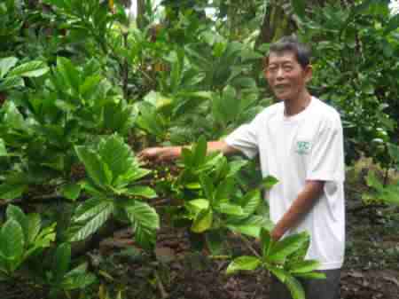 FLOWERSBLOOMS by "Elvie": FIGARO FUN RUN 2010, A Race to Save the ...