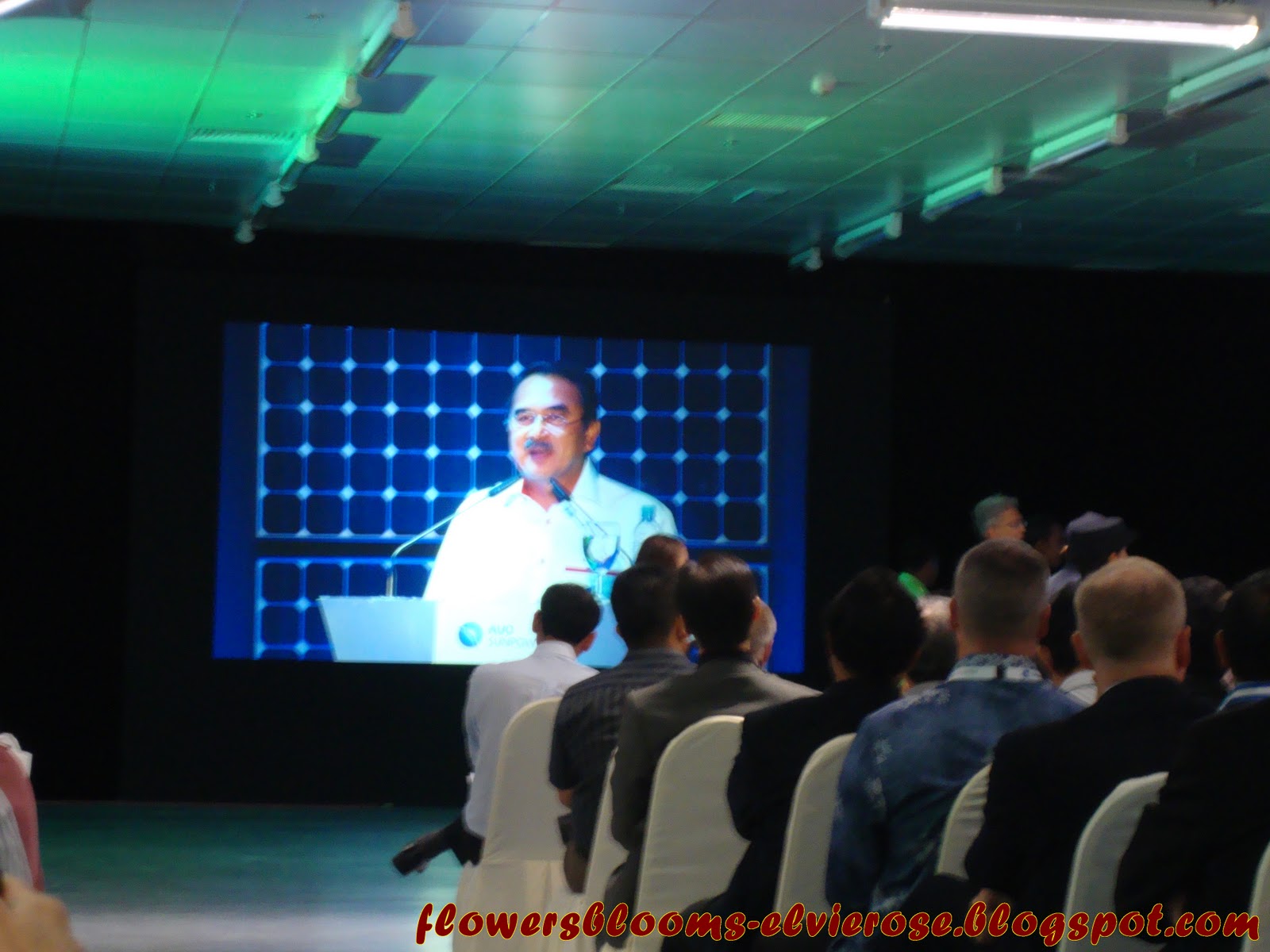 FLOWERSBLOOMS by "Elvie": AUO SunPower Grand Opening (Fab 3), December ...