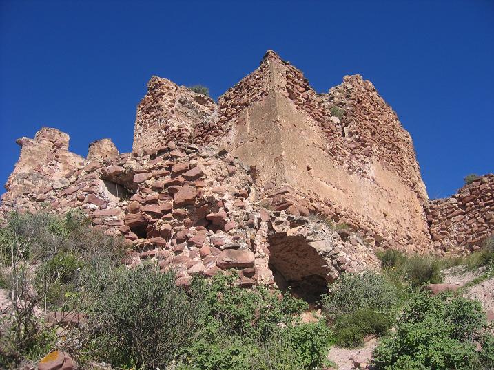Flora y fauna de la Calderona: castillo de la serra calderona (por ERIC
