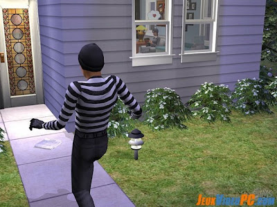 les sims: le voleur