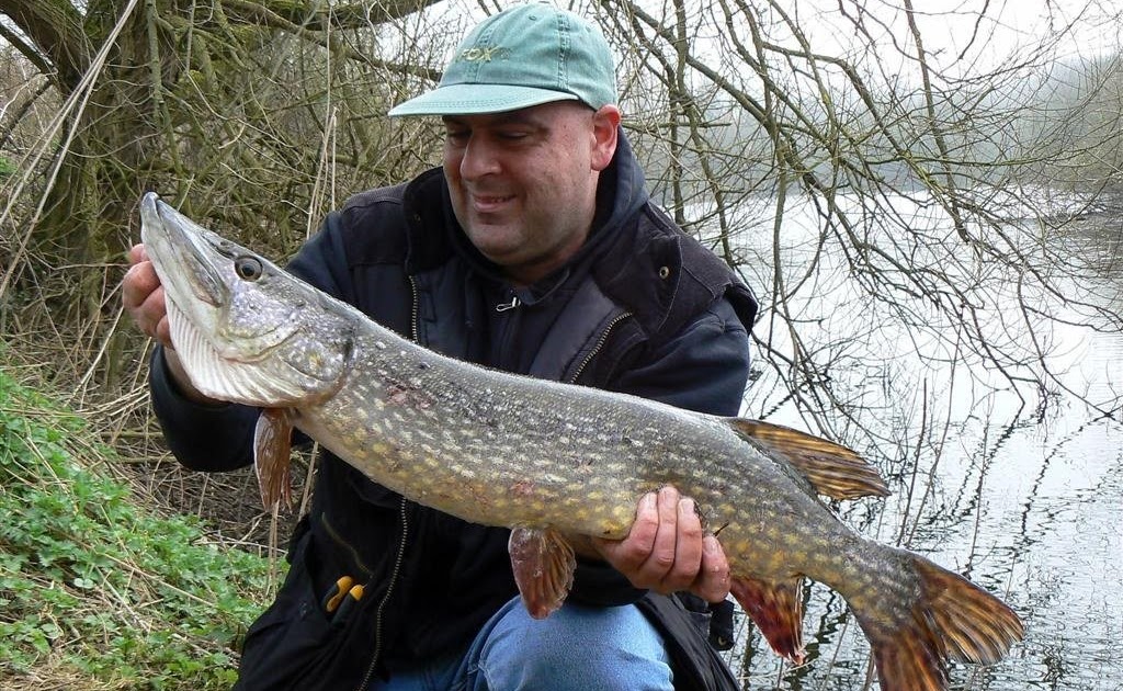 Trent Piker: Gravel Pit Pike