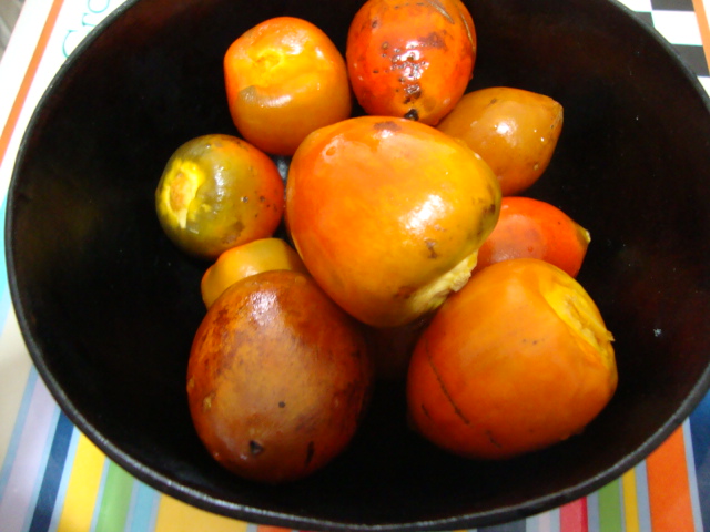 RECEITAS DA VOVÓ CRISTINA: PUPUNHA