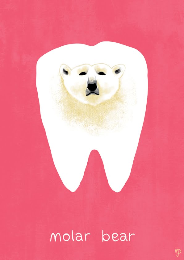 a little bit bunny: Molar Bear