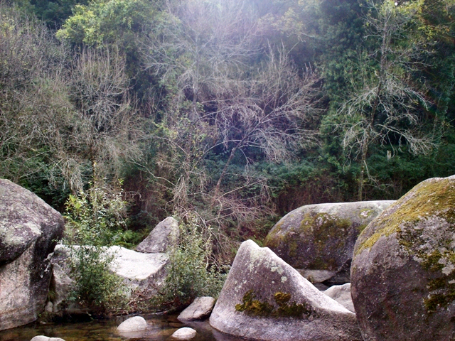 Fotos do Rio Homem | Paisagens de Portugal