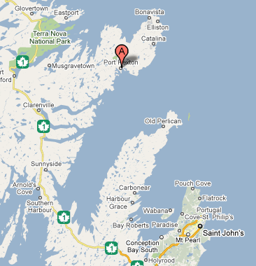 runty mouse: Trinity Bight