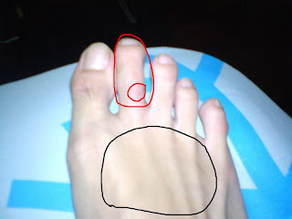 THE STORY OF CHINESE NEW YEAR: Ant Bite