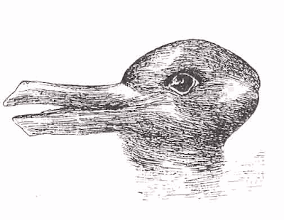 Visual Phenomena and Optical Illusions: Strange Real Life Duck or ...