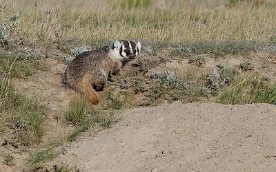 Paul Pratt's Blog: Saskatchewan & Alberta