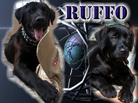 Navarro Arte & Diseño