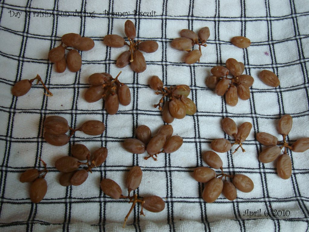 Home Cooking Experiment: Homemade sun-dried raisins
