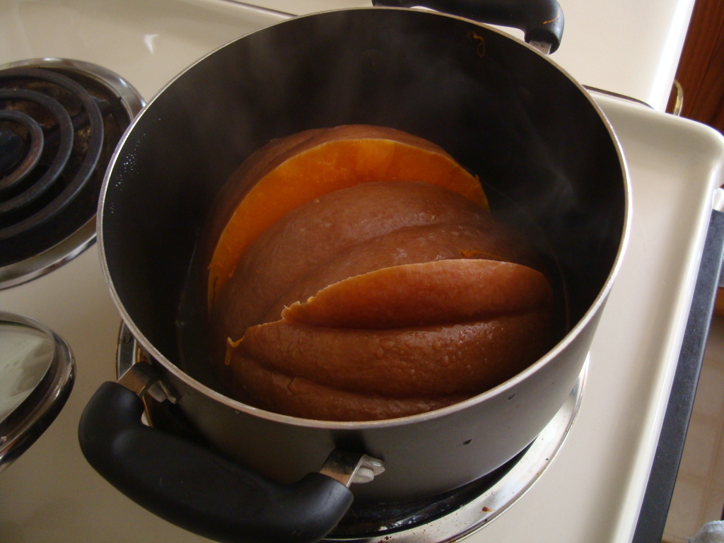 bread Baking Experiment: A successful calabasa pie