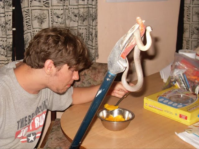 Amy's Assorted Adventures: December 2010