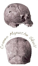 Mollfunpeñi: Pounamu y Te Pito Kura