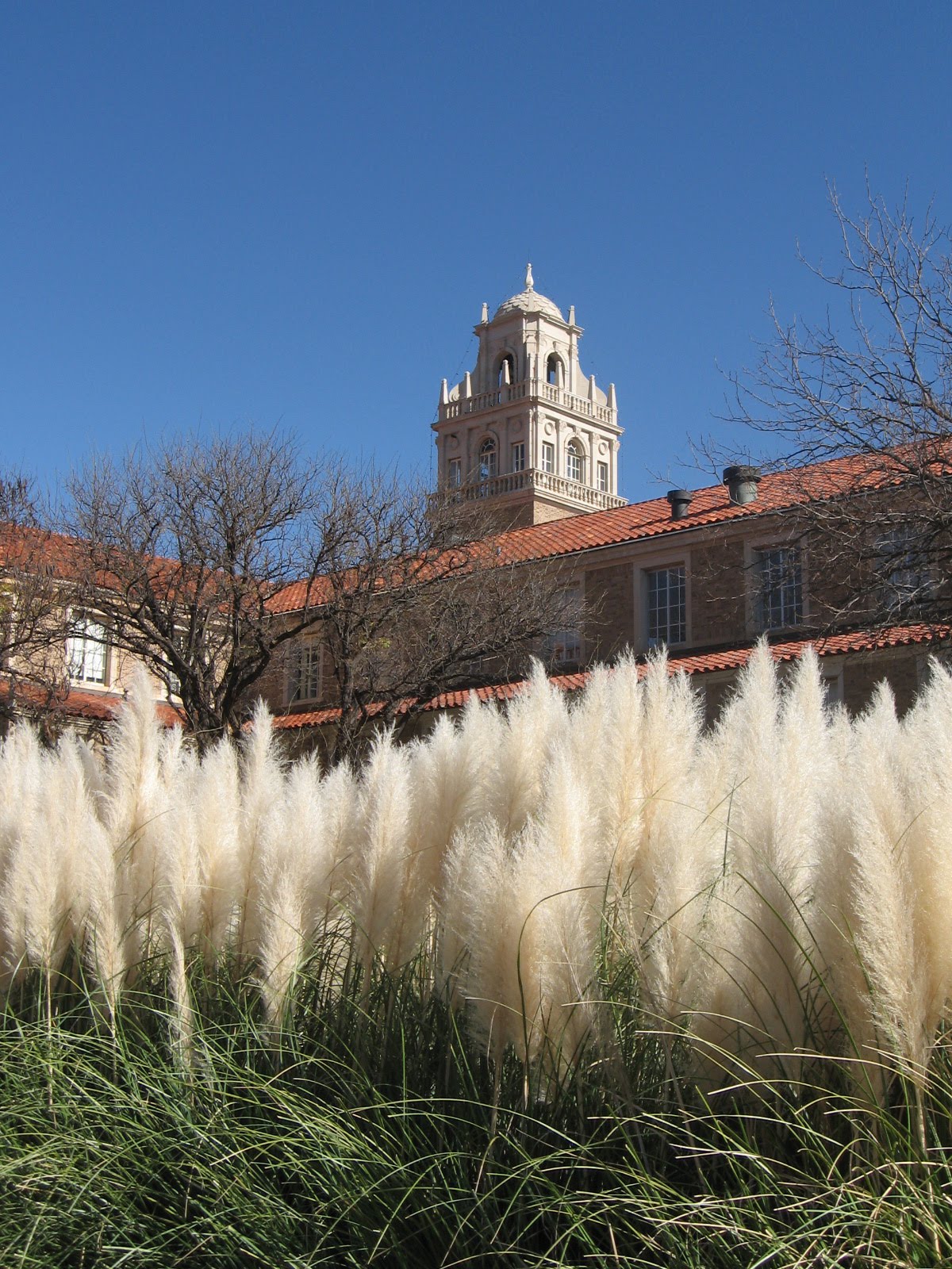 Junky Trinkets: November 2009