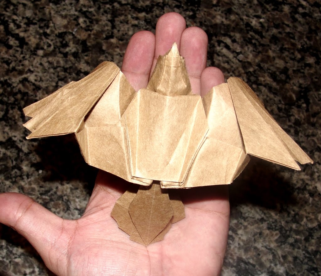 Tibubu Origami: Cooper's Hawk - Seth Friedman