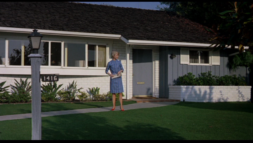 Love Music Wine and Revolution: Good Neighbor Sam (1964)