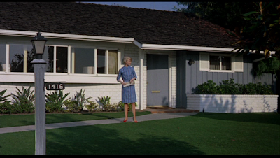 Love Music Wine and Revolution: Good Neighbor Sam (1964)