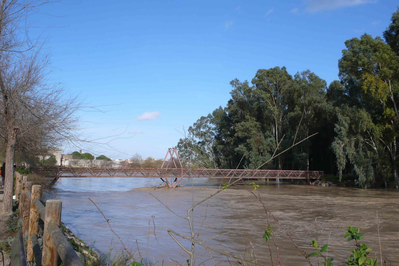 Celtibético: Las aguas del Genil