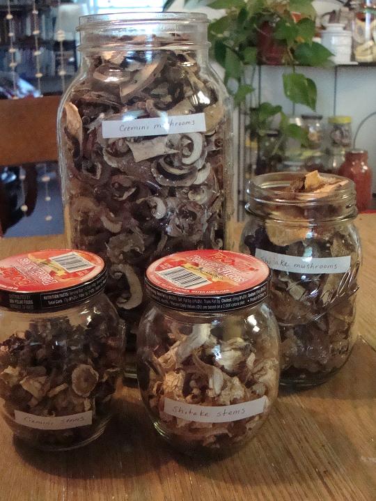 Walnut Spinney: Dehydrator Diary - Socks and Mushrooms...