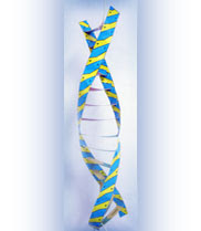 DNA Papercraft | Papercraft Paradise | PaperCrafts | Paper Models ...