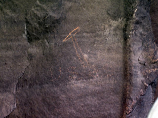 Bill Merrow's Blog: 2010 River Trip Day 1 - 9/12 Lee's Ferry to North ...