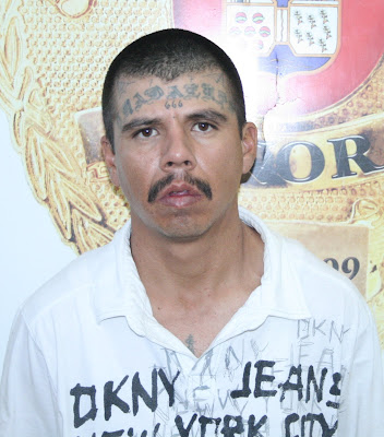 MIGRAMOS DE BLOG: 20-nov-2009