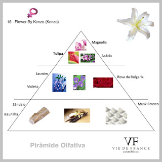 Arôme Parfum: Pirâmides olfativas