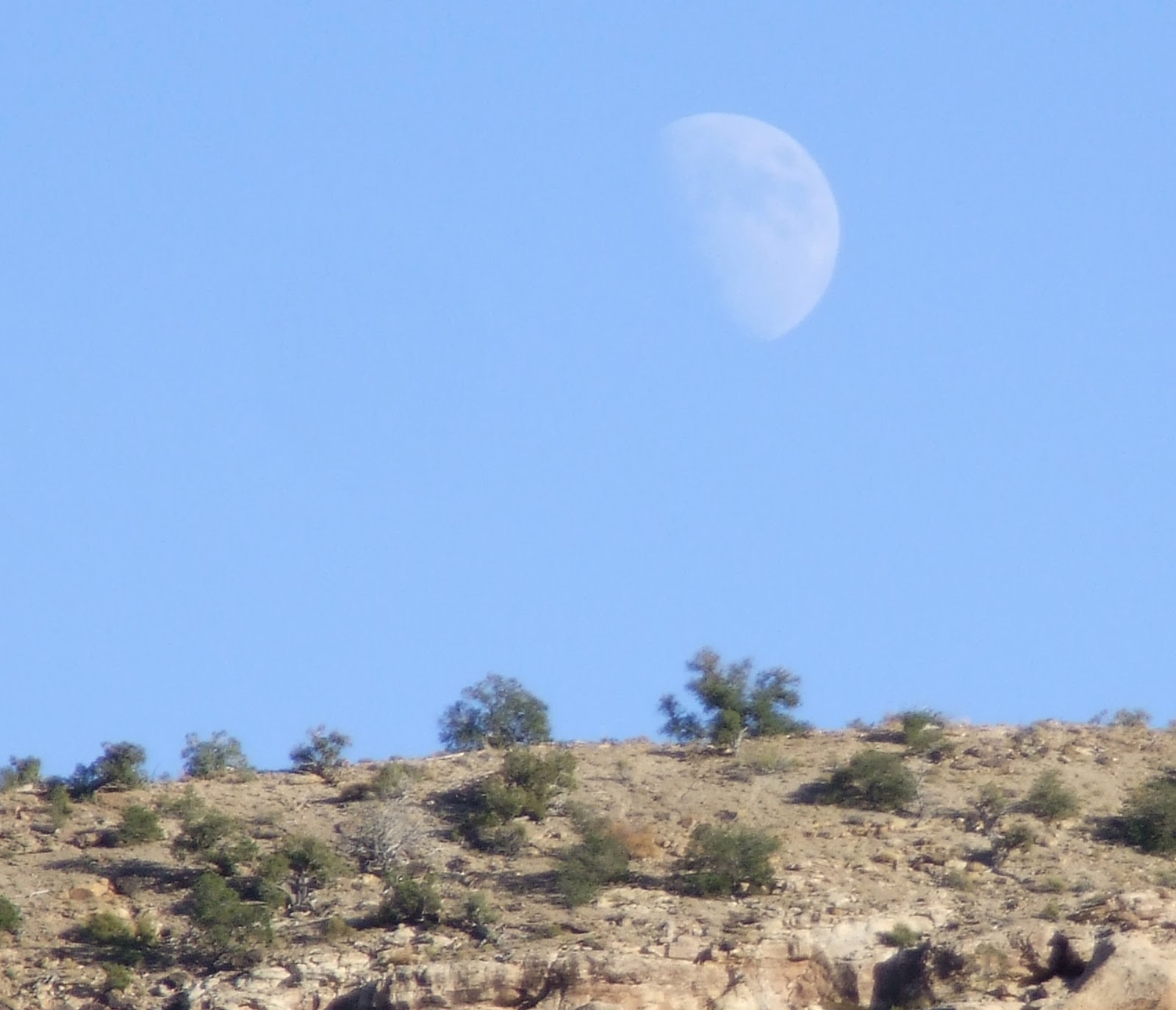 Skunk Tracks: Fall in Grand Junction