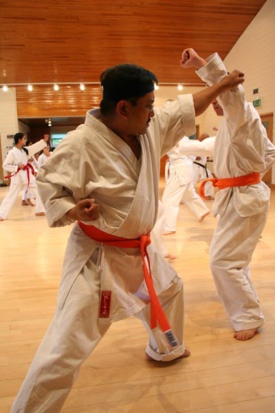 Peleando por el Karate - Revista Coma
