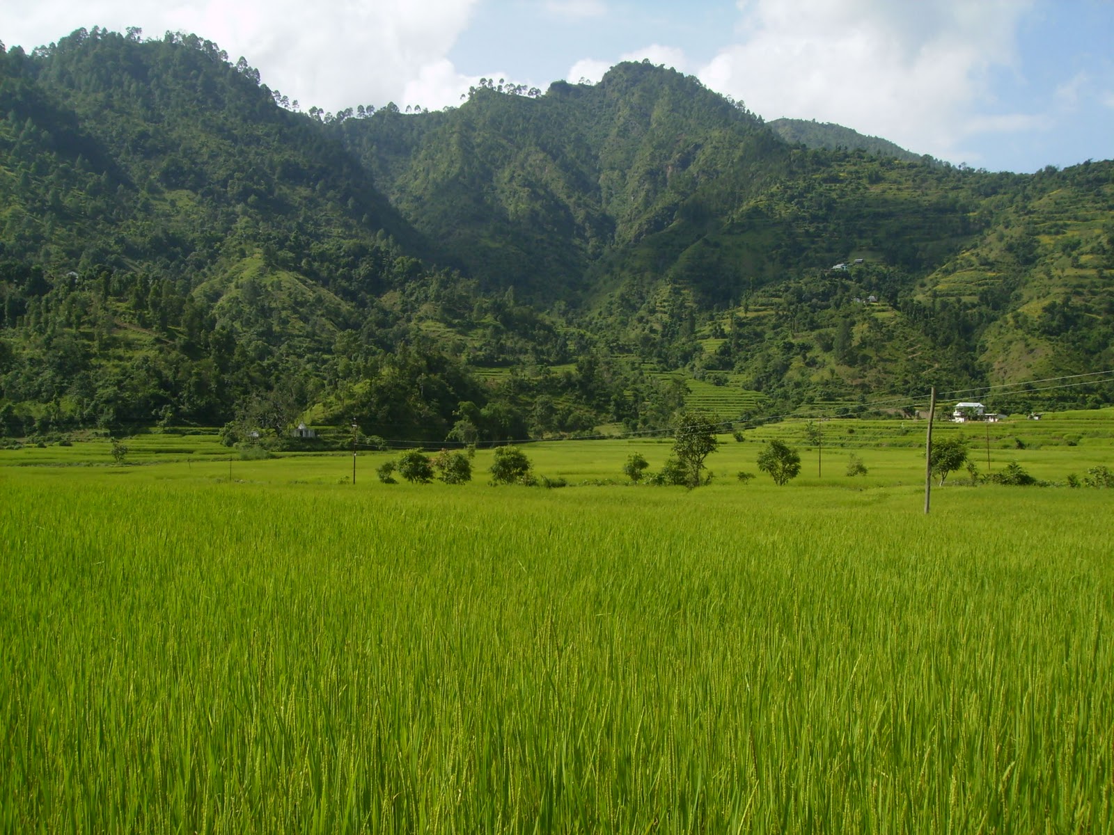 The Best 4 Entertainment: Palpa, queen of the hills beautiful place for ...