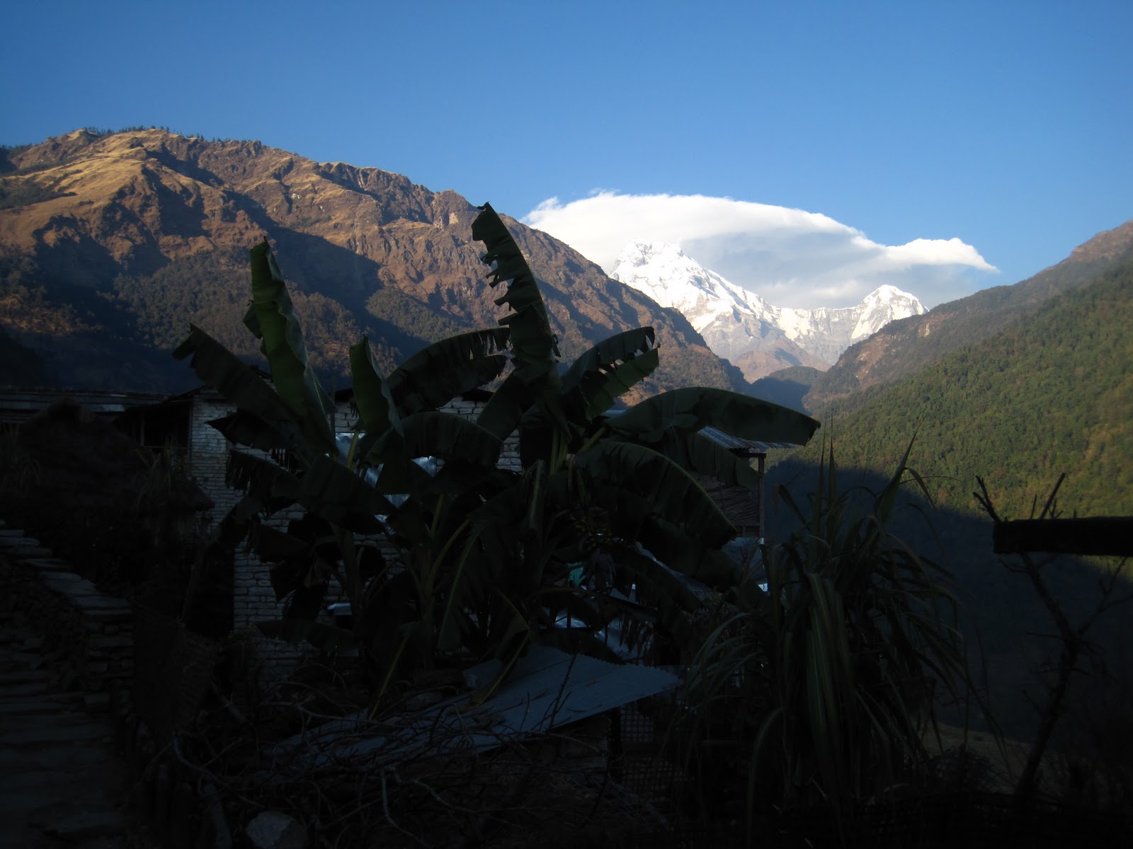 Dubai: it's me! in the UAE!: Nepal 6: stone steps from Naya Pul to Ulleri