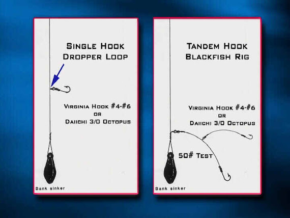 "Belmar Rig" for Tautog? | BASS BARN