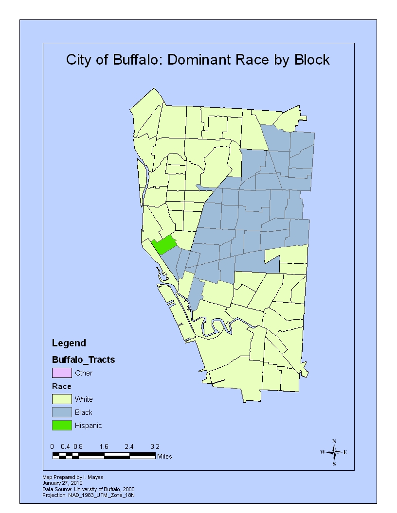 GEOG 390 - Geographic Visualization: ArcMap: City of Buffalo, race by block