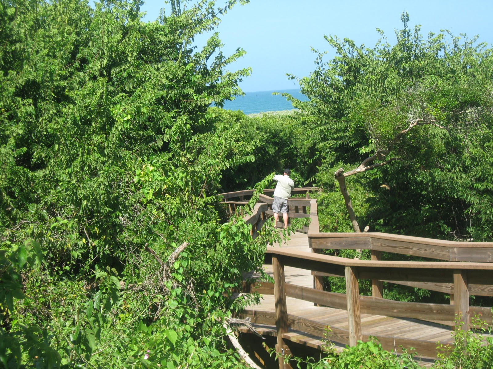 Dig It!: Turtle Mound