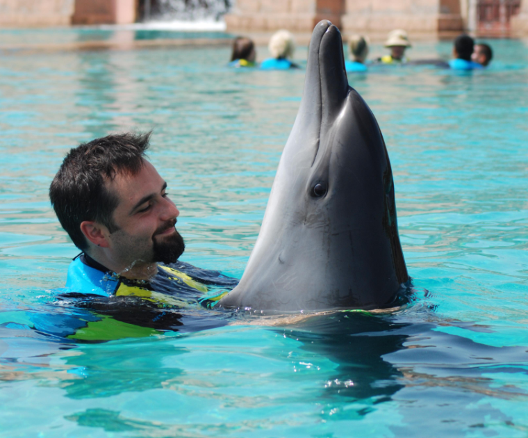 Delfines