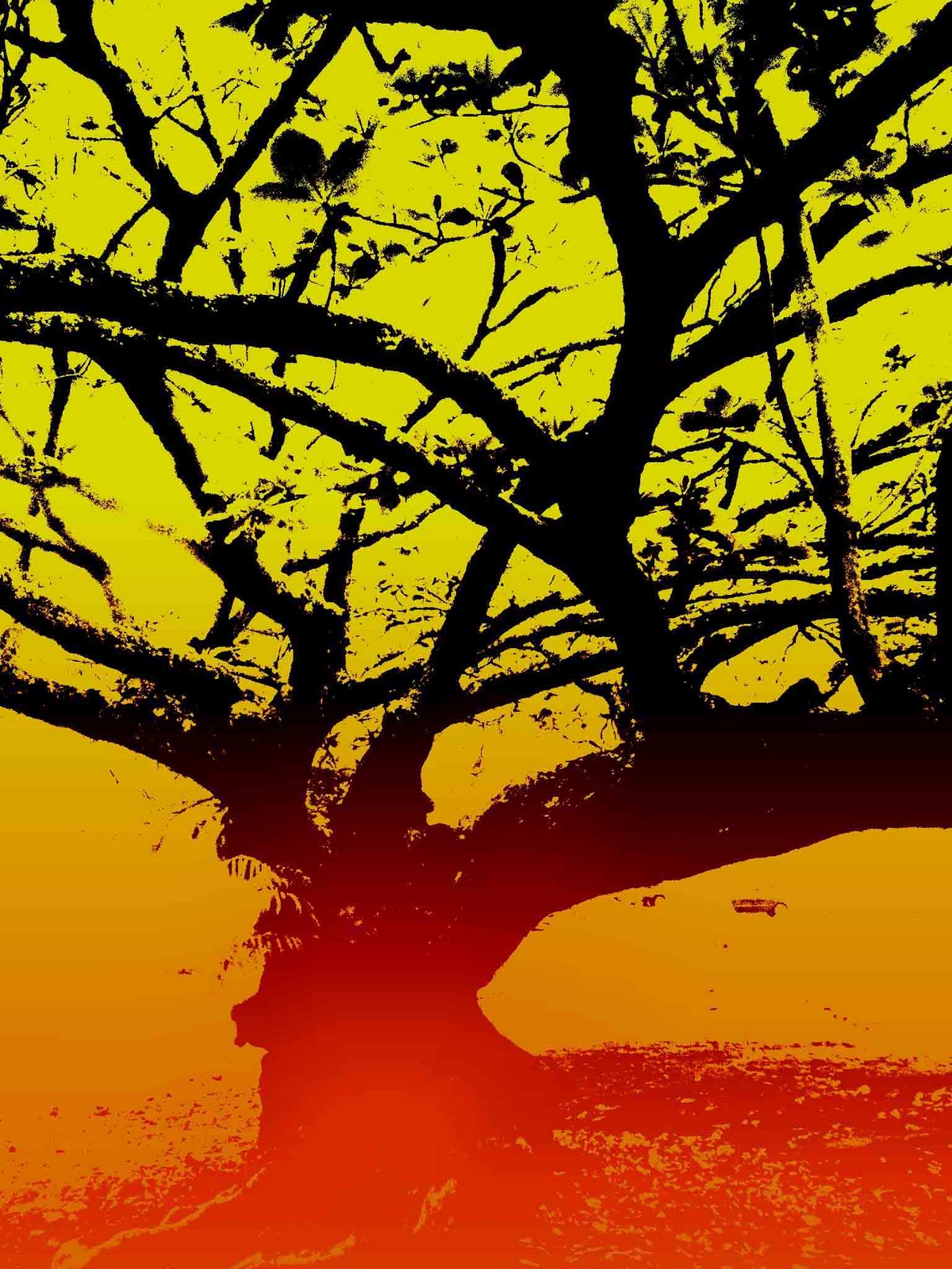 Negative Space Drawing Tree