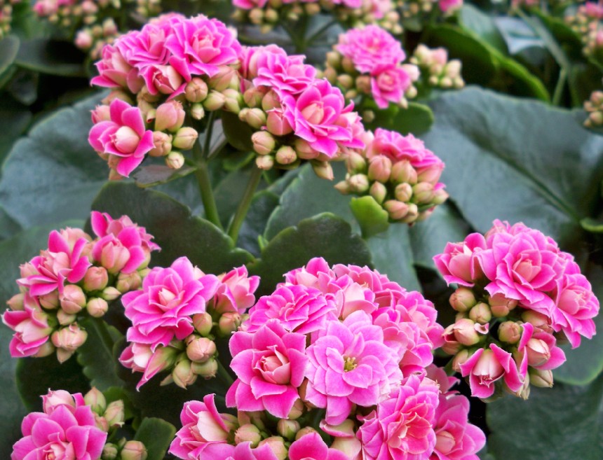 A little bit of everything: Dow - I think wave 1 of (V) has ended