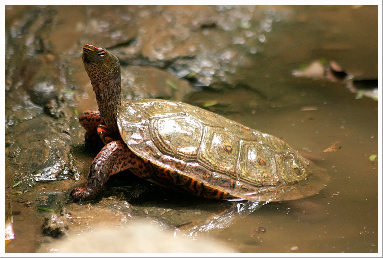 The photos of the series "Mexico by my eyes": The modern Mexican ...