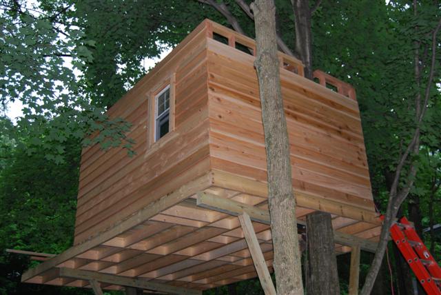 Virginia Lee: Treehouse Progress