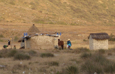 Veggie Revolution: In Peru: the plight of the indigenous Quechua