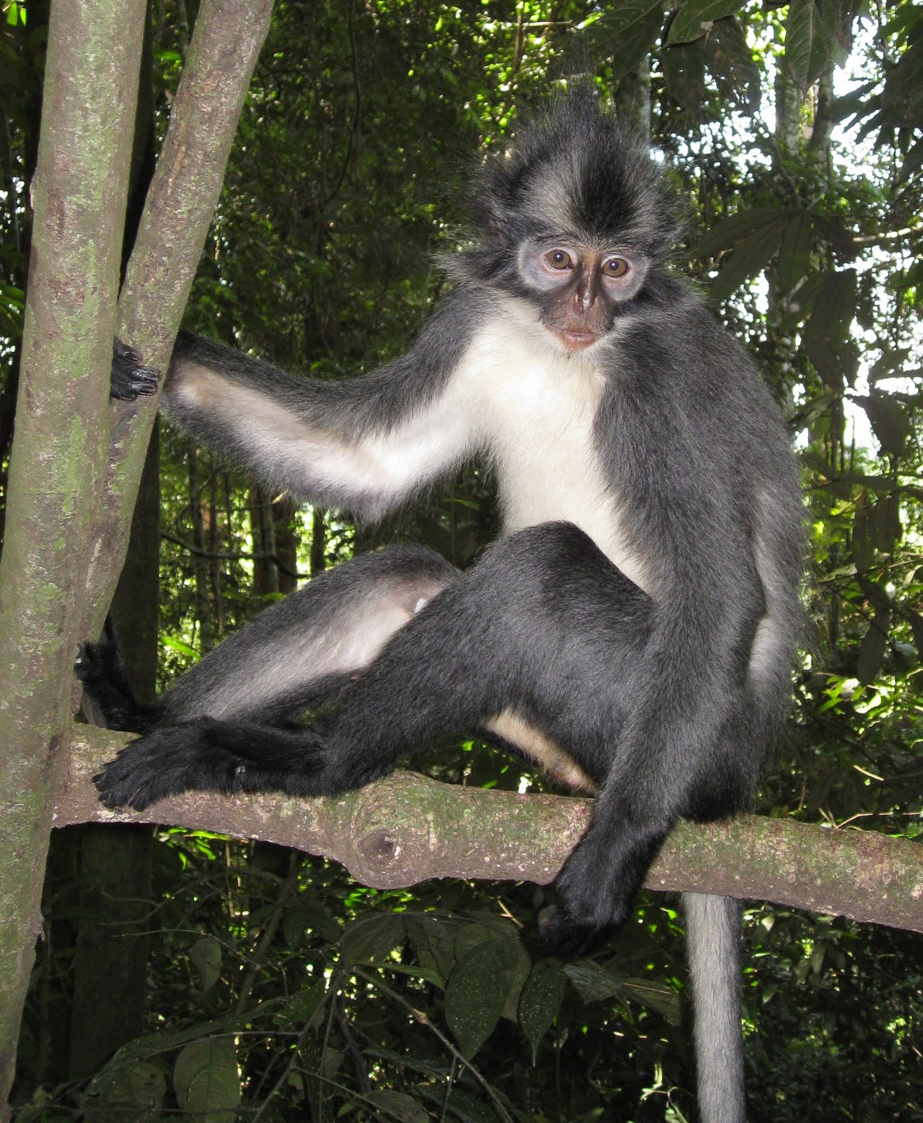 Veggie Revolution: August 2010